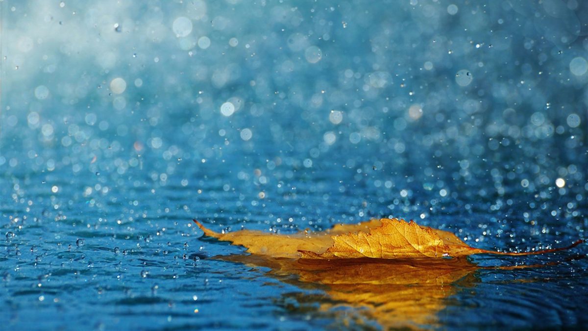 79+ Calming Wallpapers for Desktop Background