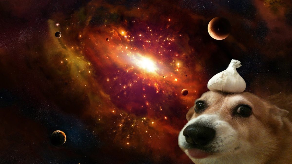 Anybody got a bunch of weird funny wallpapers i ve been meaning