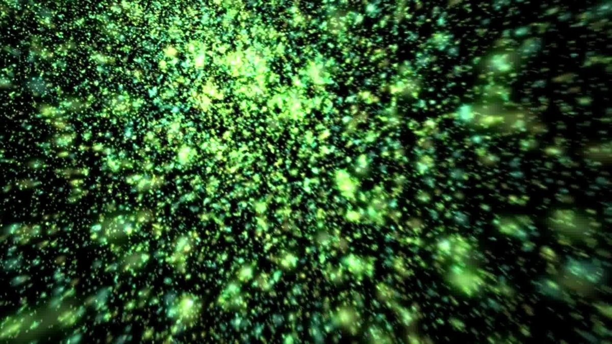 51+ Live Wallpaper Screensavers