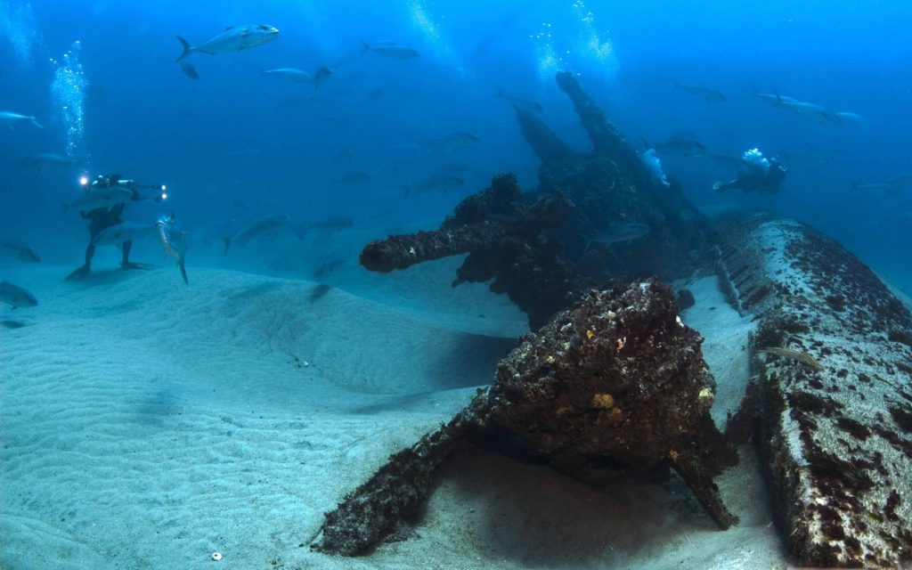49+ Scuba Diving Wallpaper High Resolution