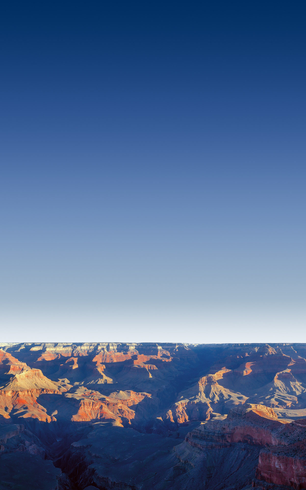 63+ Portrait Orientation