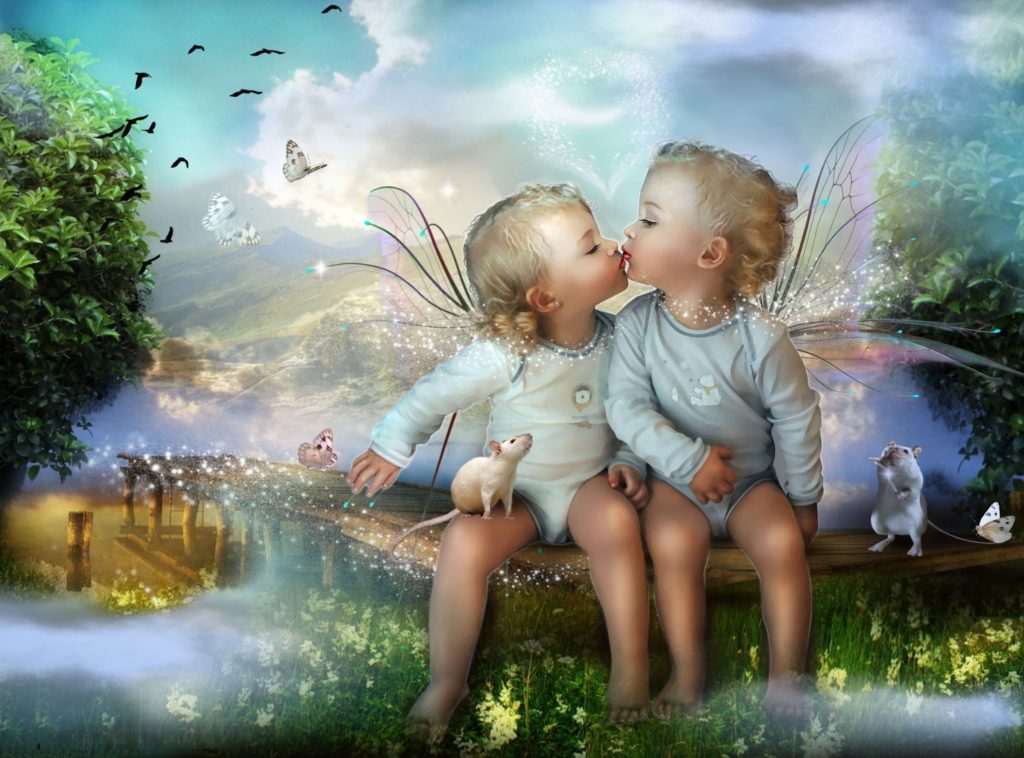 55+ Angel Fairies