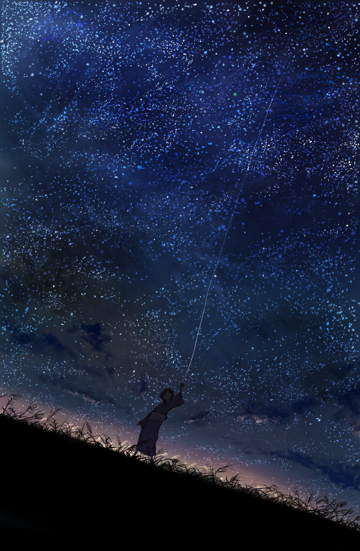 61+ Blue Night Sky