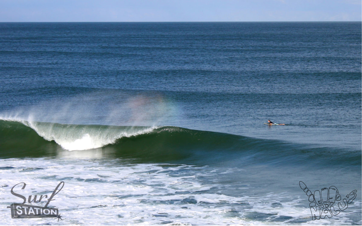 131+ Surfing Screensavers and Wallpaper