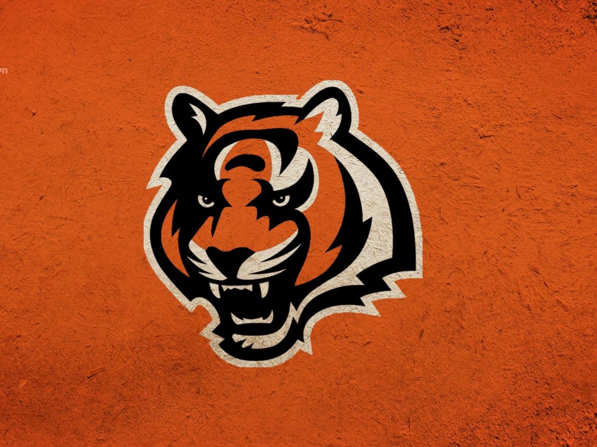 71+ Cincinnati Bengals Wallpaper and Screensavers
