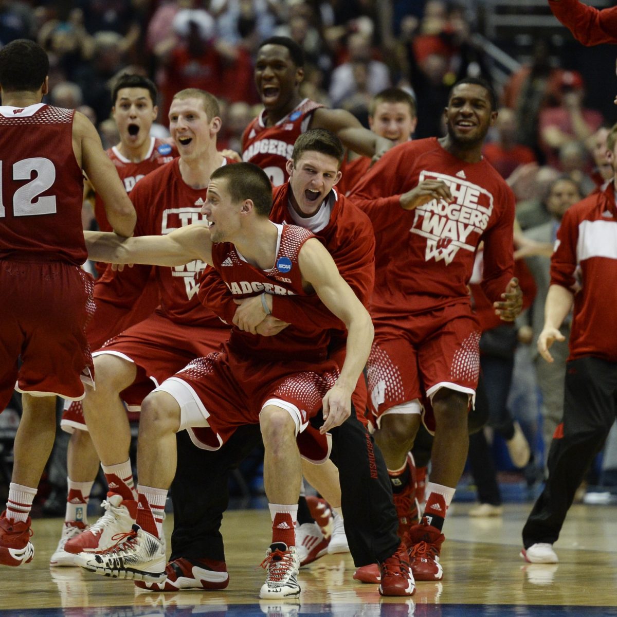 49+ Wisconsin Badger