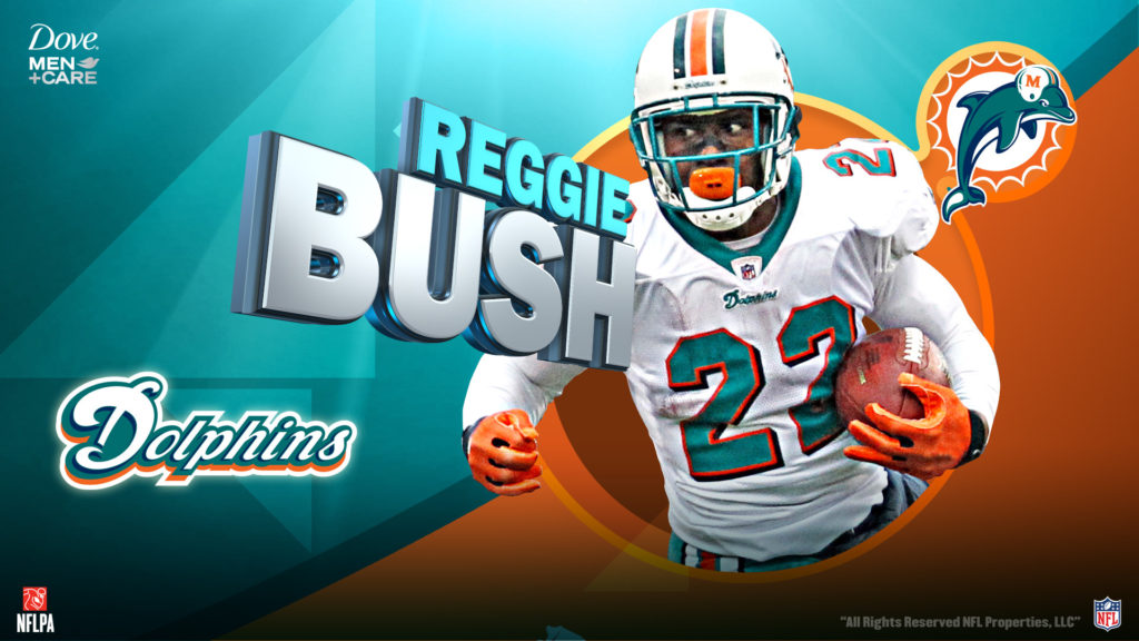 74+ Miami Dolphins Background